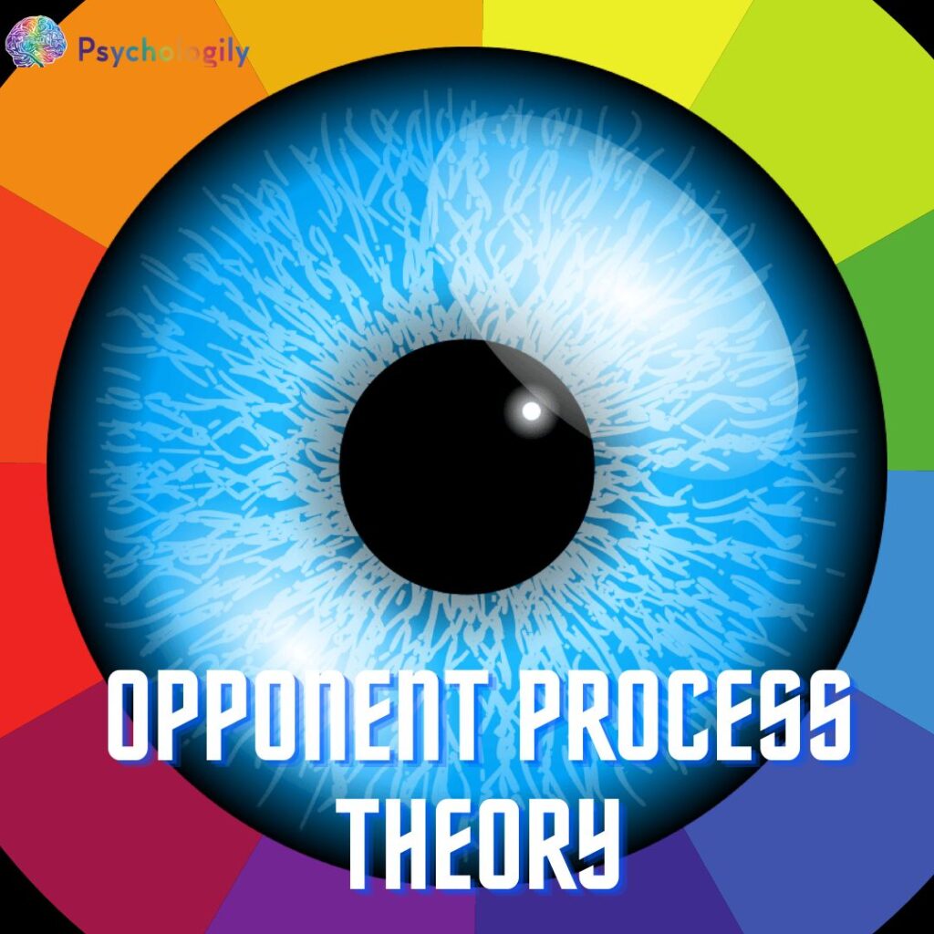 Opponent Process Theory: The Fascinating Explanation for Emotional ...