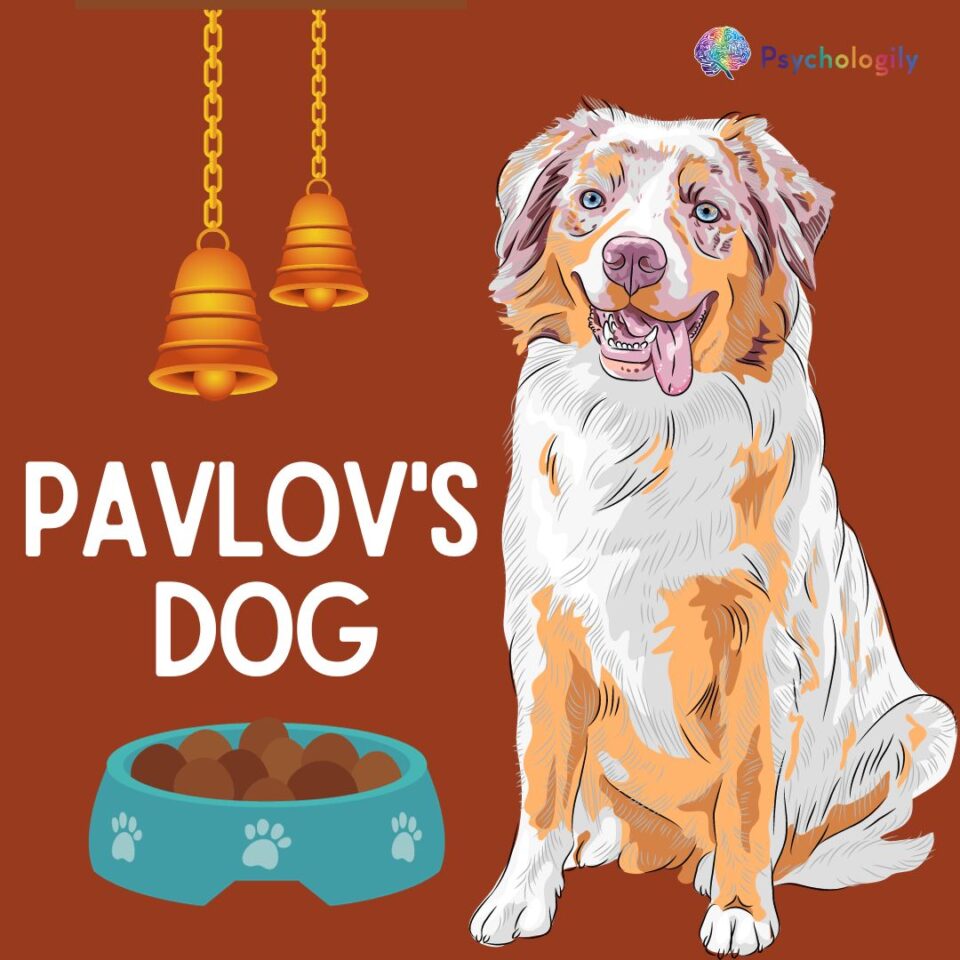 Pavlov's Dog: The Psychology Experiment That Changed Everything ...